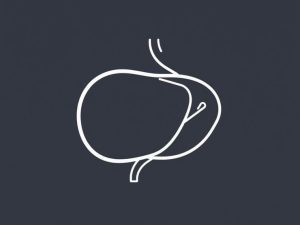 Right Hepatic Lobe Cyst – Icfplivestock.com