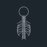 Vagus Nerve Spinal Misalignment – Icfplivestock.com