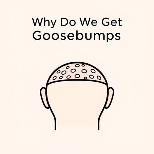 Why Do We Get Goosebumps – Icfplivestock.com