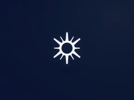 X Ray Kub Position – Icfplivestock.com