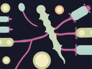Definition Of Cytoplasmic Inheritance – Icfplivestock.com